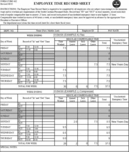 Public Partnerships Timesheet Template