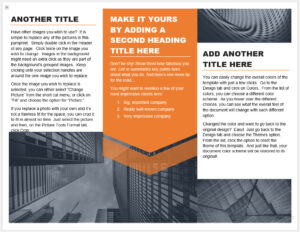 Editable Tri-Fold Pamphlet Template (Word)